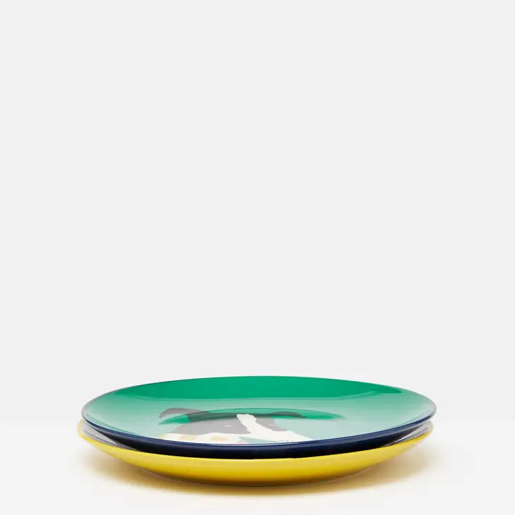 joules dogplates - Pinks & Green